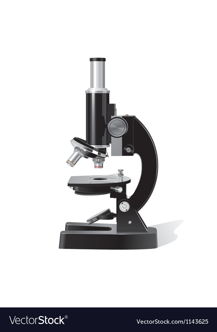 Optical Microscope Royalty Free Vector Image - VectorStock