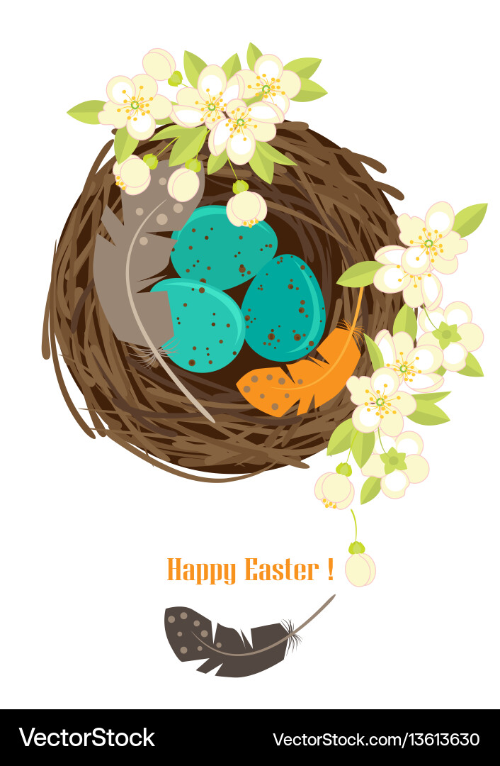 Birds nest with eggs Royalty Free Vector Image