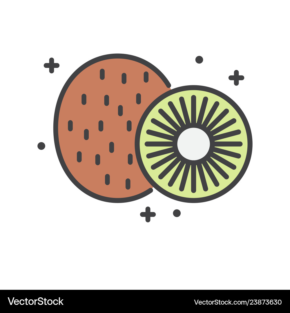 Kiwi icon on white background for graphic and web Vector Image