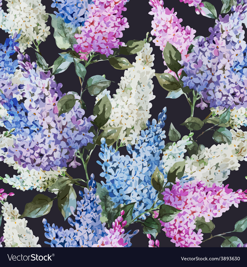 Lilac pattern Royalty Free Vector Image - VectorStock
