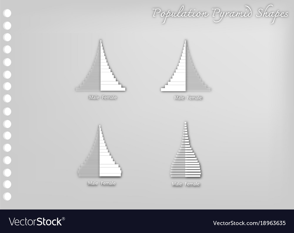 Paper art of 4 types population pyramids graph Vector Image