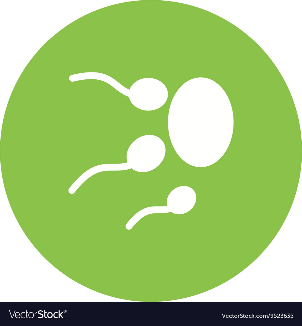 Sperm Royalty Free Vector Image - VectorStock