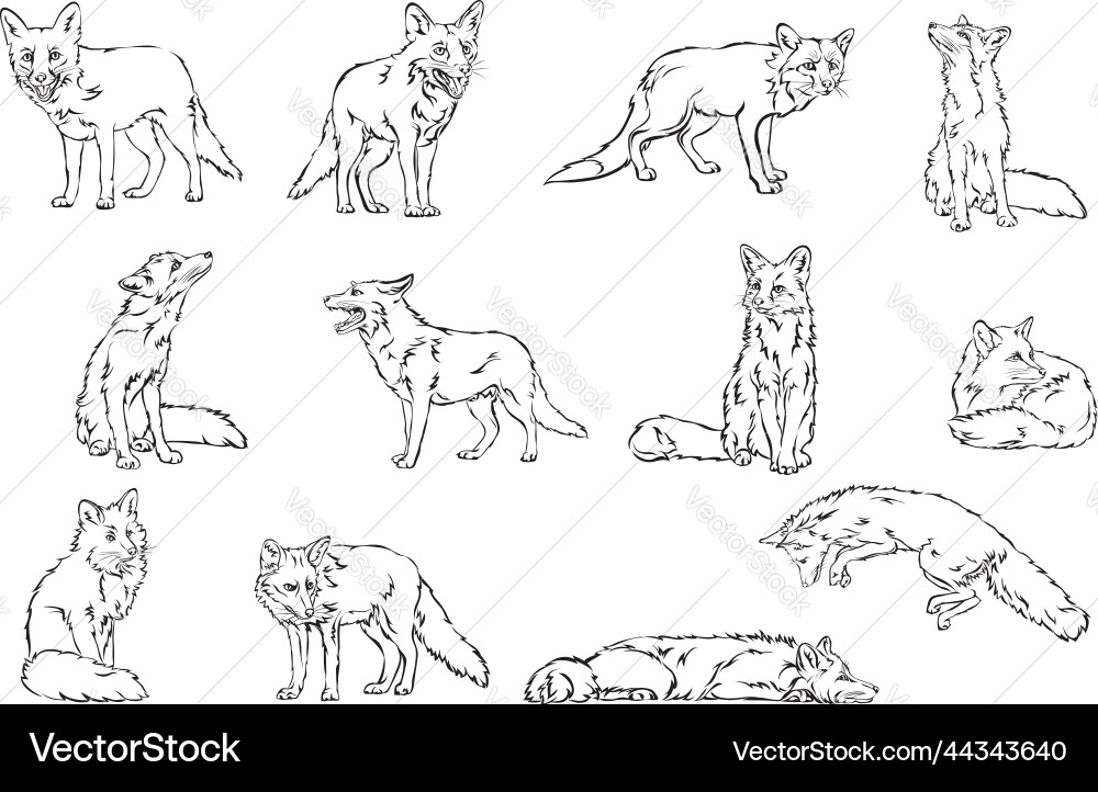 Fox figure line black Royalty Free Vector Image