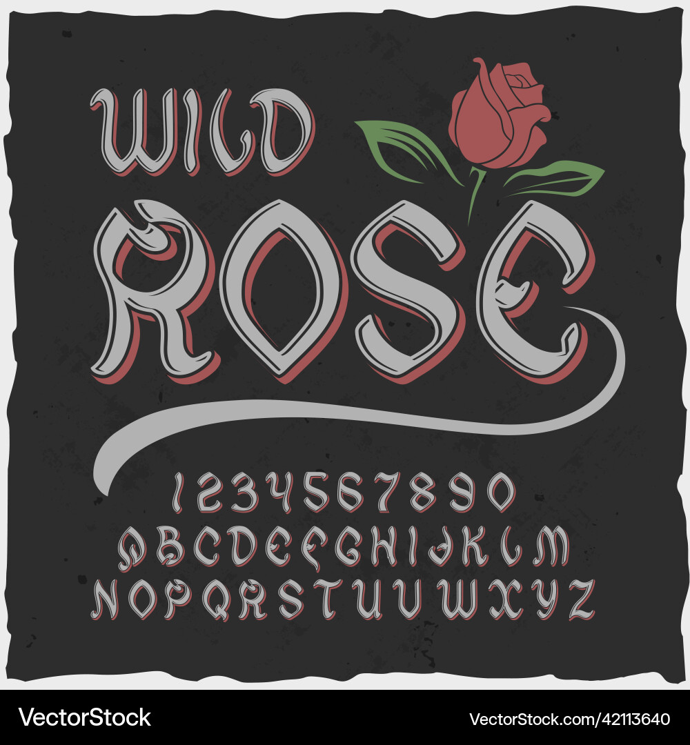 Good handcrafted font for any label design Vector Image