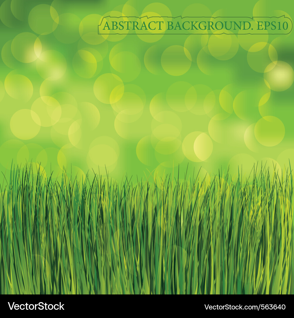 Green grass Royalty Free Vector Image - VectorStock