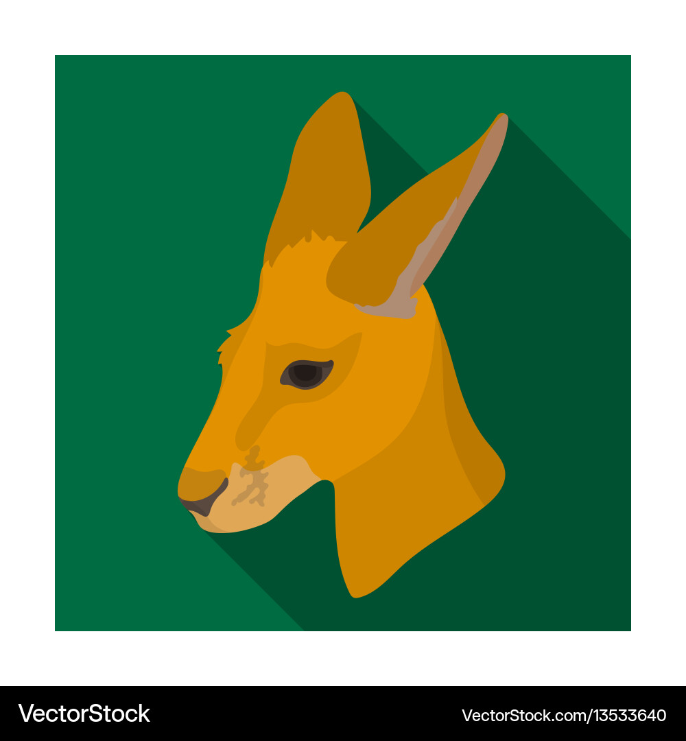 Kangaroo icon in flat style isolated on white Vector Image