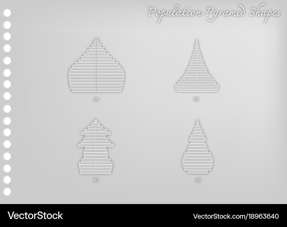 Paper art of 4 types population pyramids graphs Vector Image