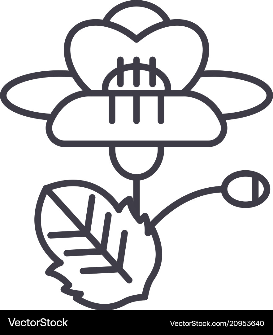 Poppy line icon concept flat sign Royalty Free Vector Image