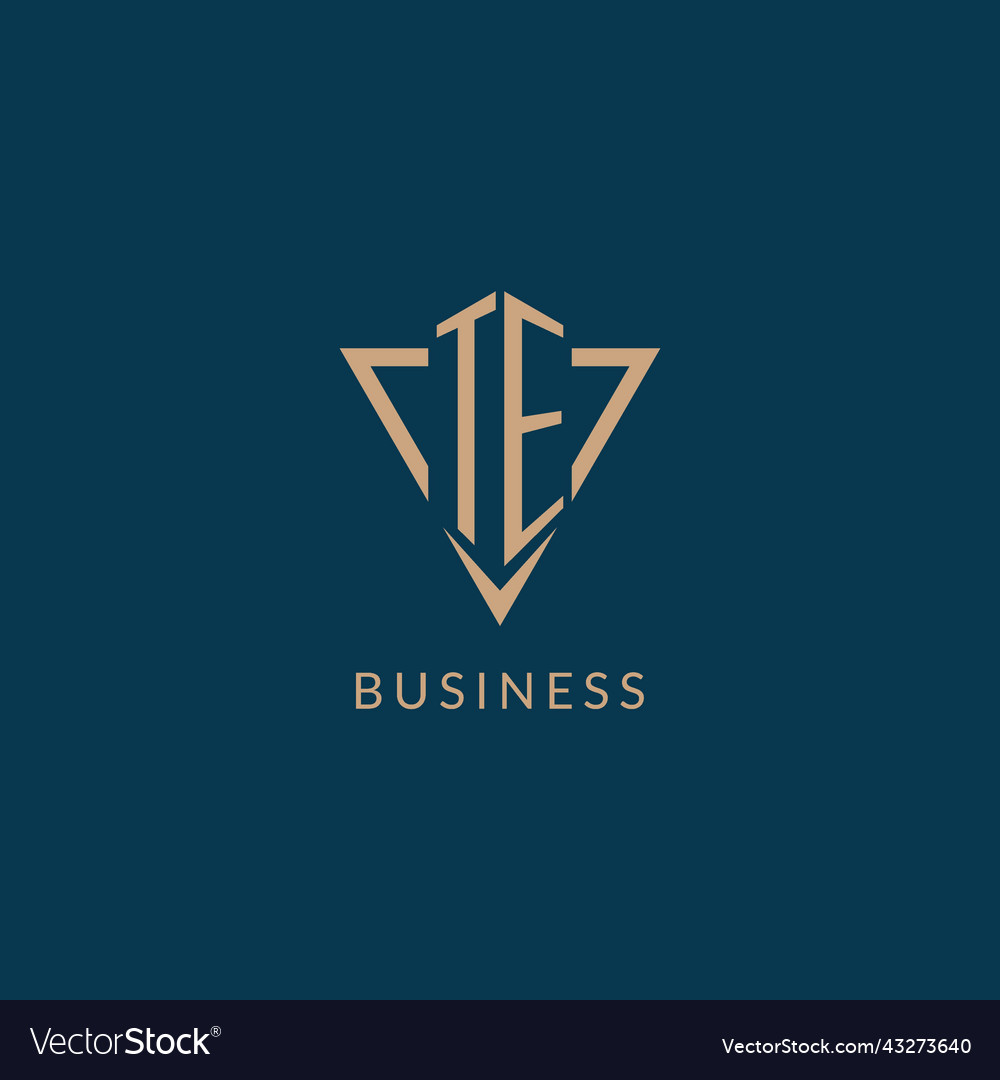 Te logo initials triangle shape style creative Vector Image