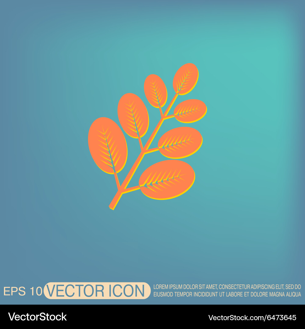 Branch with leaves symbol icon geometry teaching Vector Image