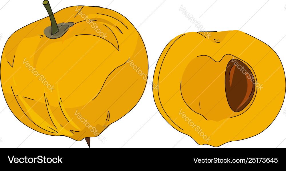 Cartoon yellow egg fruit or color Royalty Free Vector Image