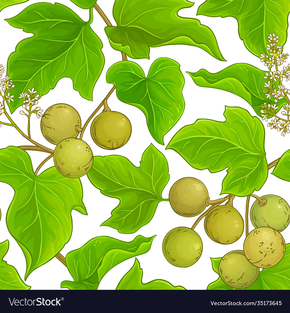 Kukui pattern Royalty Free Vector Image - VectorStock