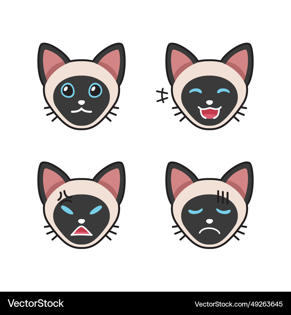 Set of siamese cat faces showing different Vector Image
