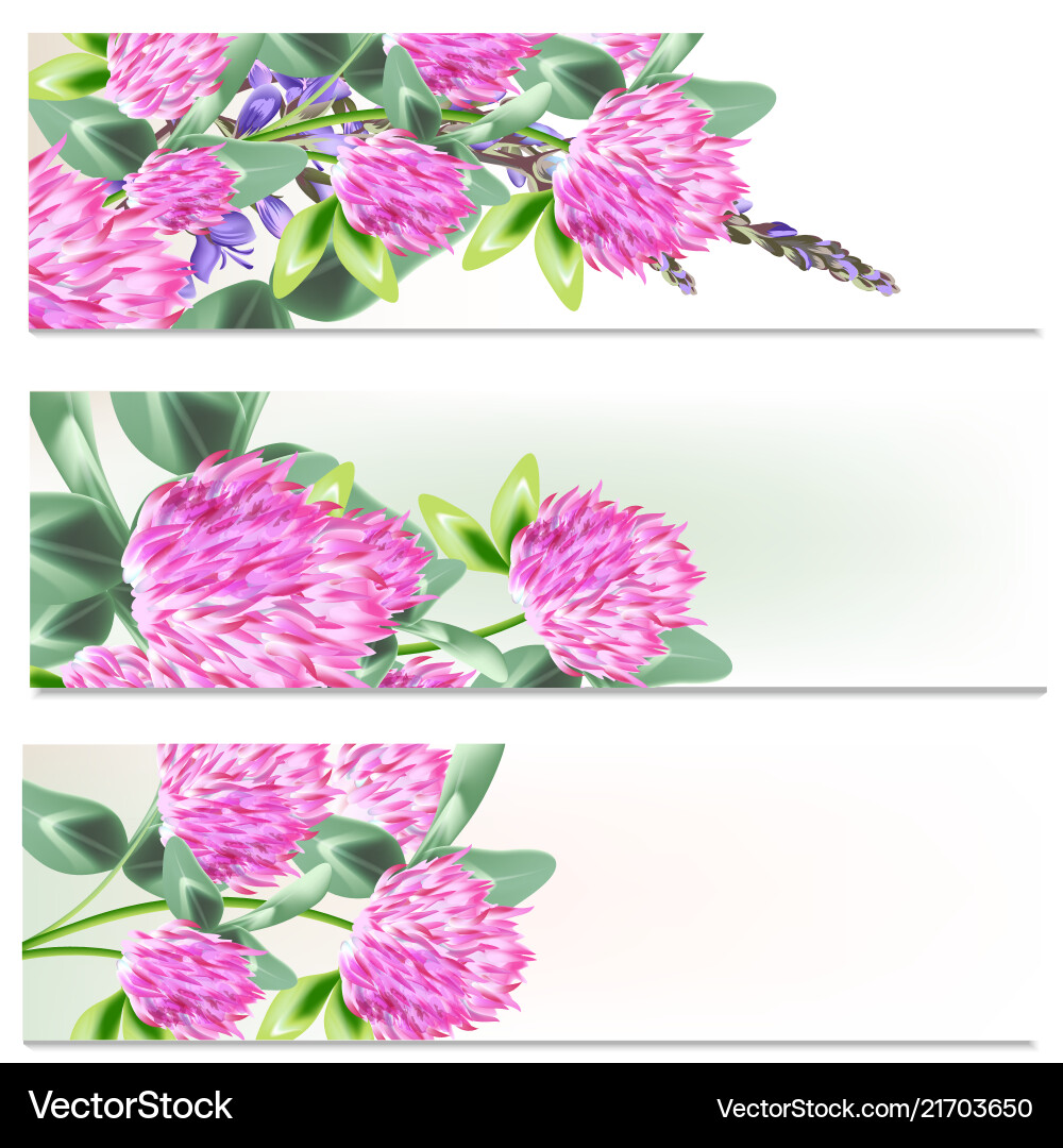 Floral brochures set with flowers Royalty Free Vector Image