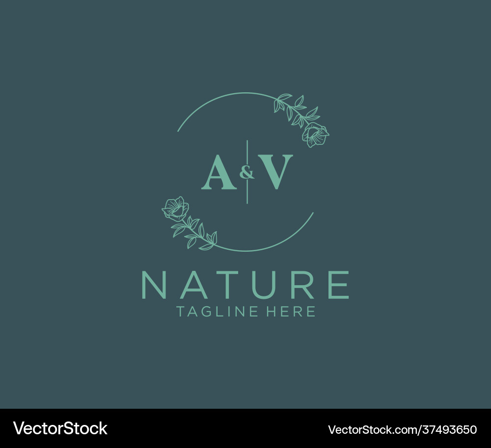 Initial av letters botanical feminine logo Vector Image