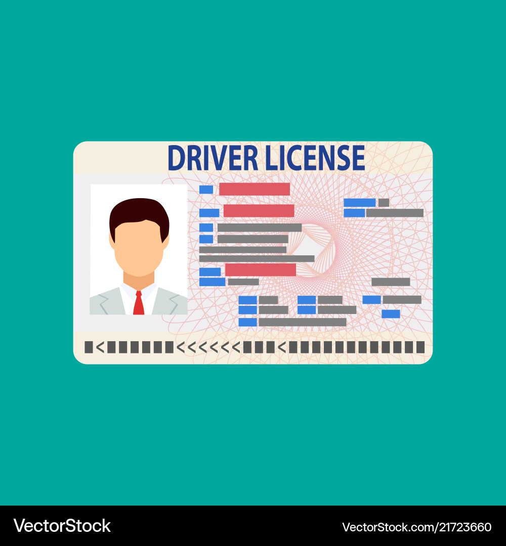 Car driver license identification card with photo Vector Image