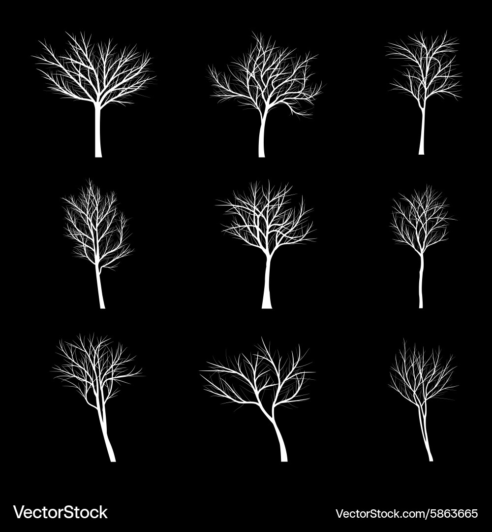 Trees with dead branch Royalty Free Vector Image