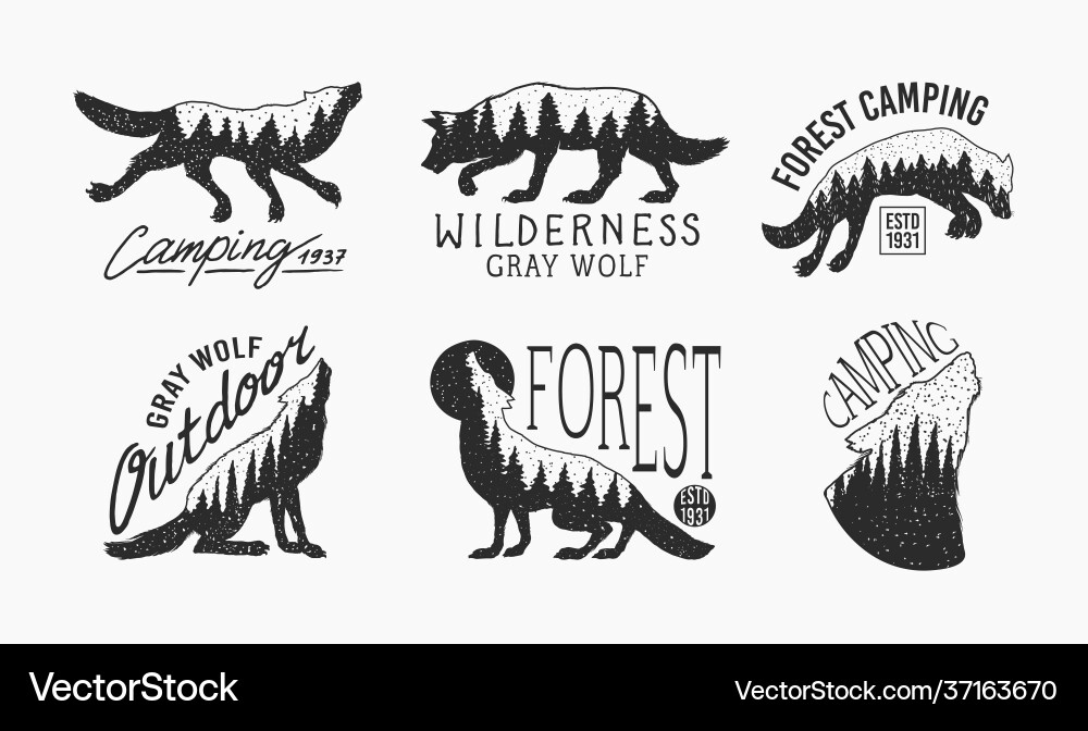 Gray wolf logo and badge forest and mountain Vector Image