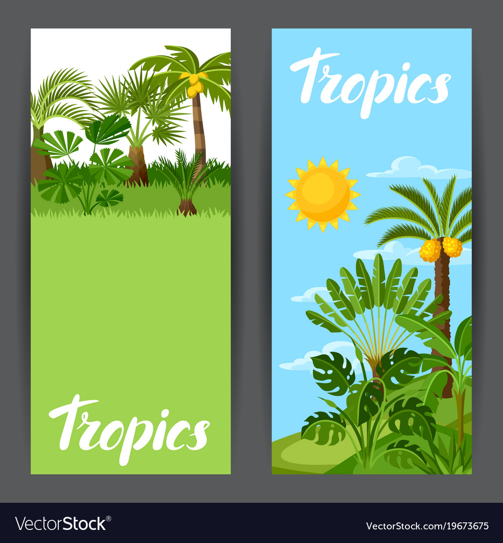 Banners with tropical palm trees exotic tropical Vector Image