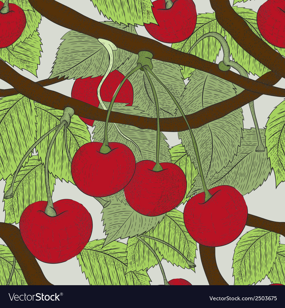 Cherry seamless pattern Royalty Free Vector Image