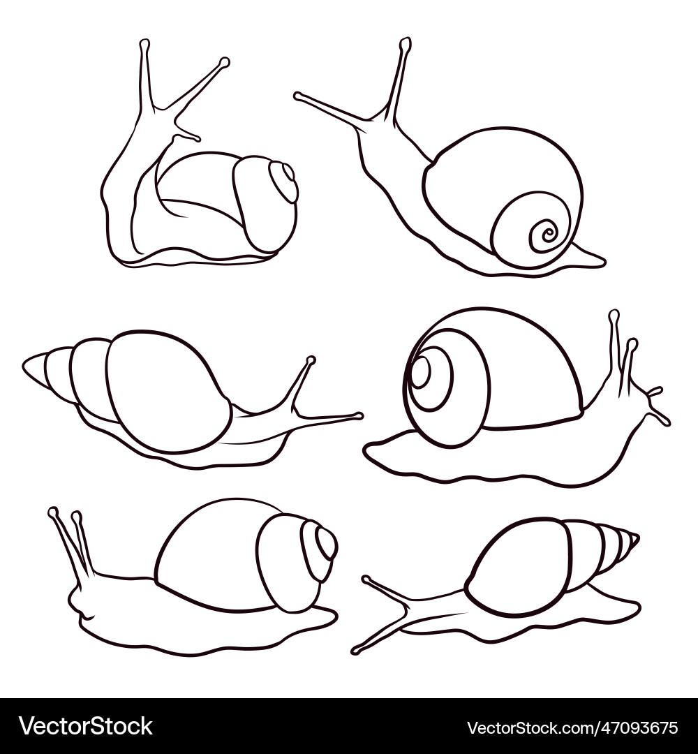 Set of hand drawn snail Royalty Free Vector Image