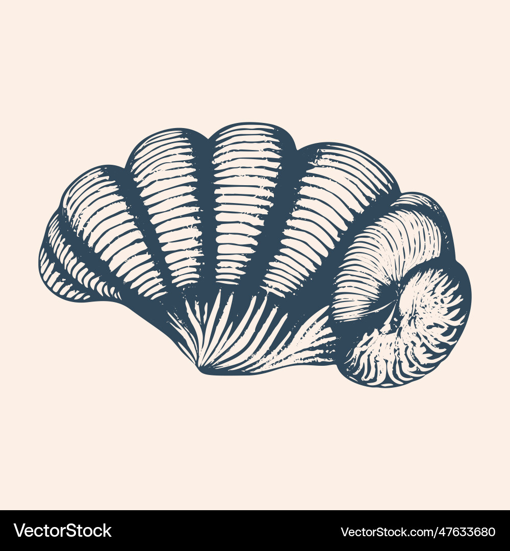 Seaside treasures vintage seashell Royalty Free Vector Image
