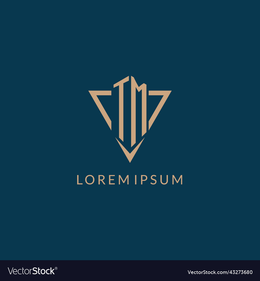 Tm logo initials triangle shape style creative Vector Image