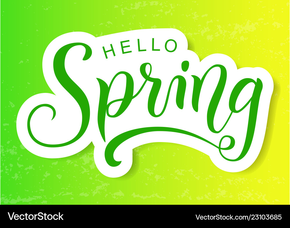 Modern calligraphy lettering of hello spring Vector Image