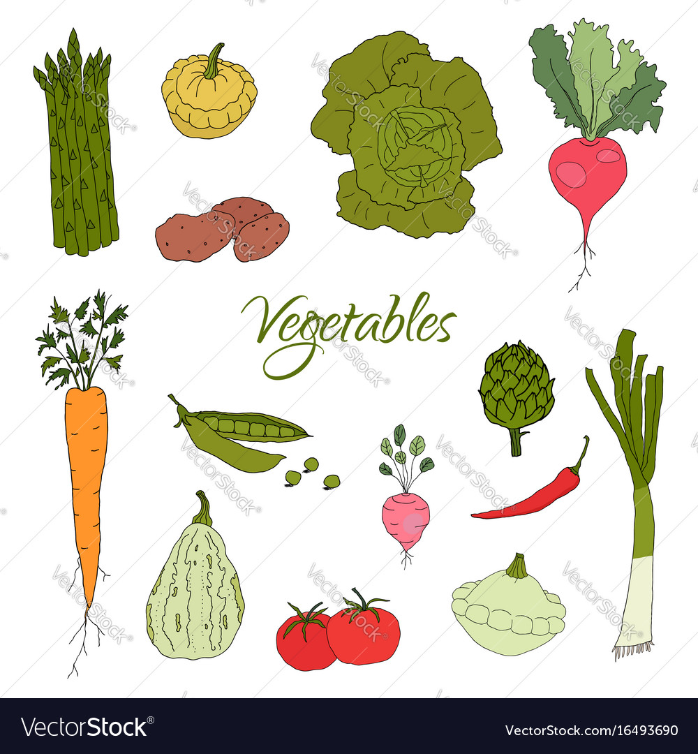 Hand drawn doodle vegetables icons isolated set Vector Image