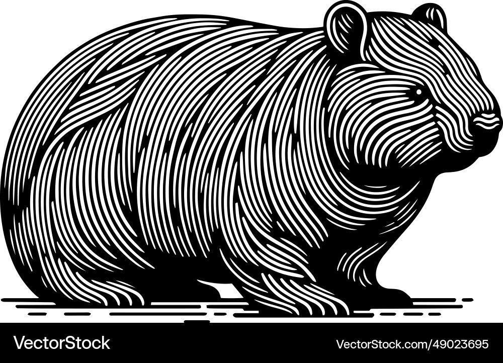Monochromatic wombat in contemporary Royalty Free Vector