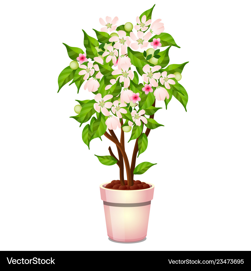 Office potted flowering tree isolated on white Vector Image