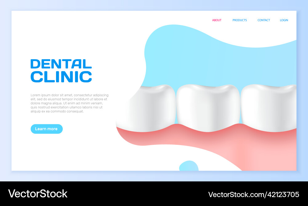 Human gum with healthy teeth and denture Vector Image