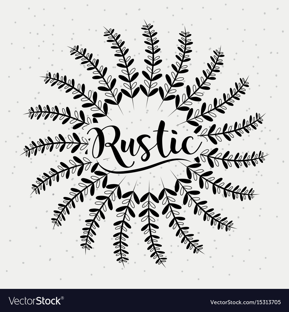 Rustic branches with leaves design Royalty Free Vector Image