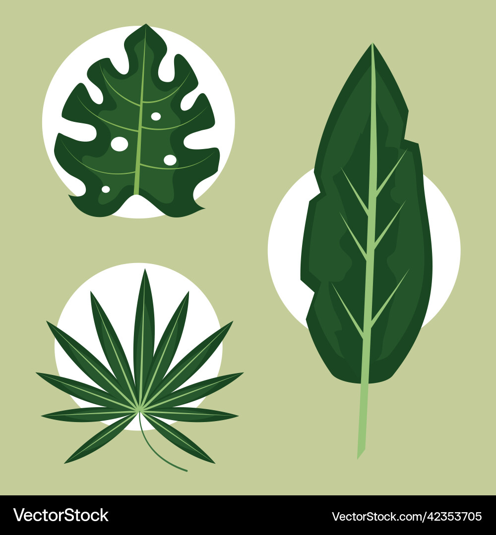 Tropical leaves icons Royalty Free Vector Image