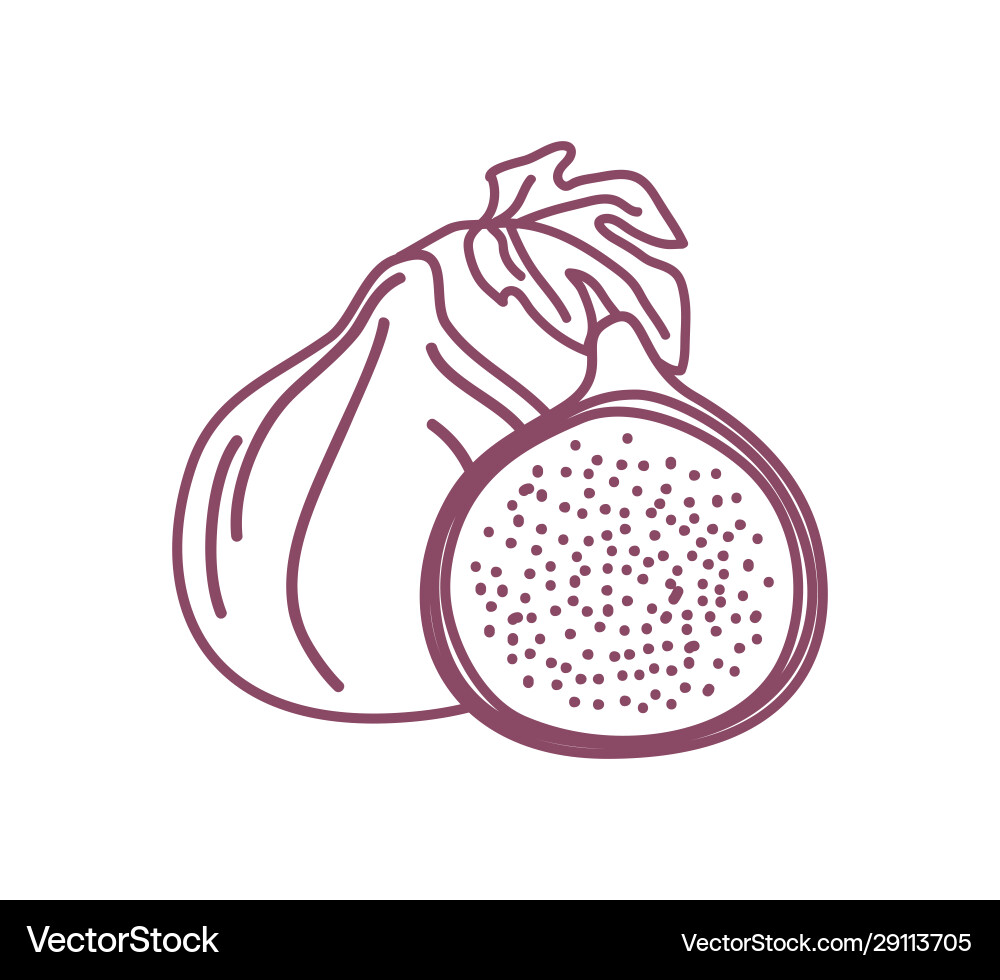 Two isolated figs outline design sketch one whole Vector Image