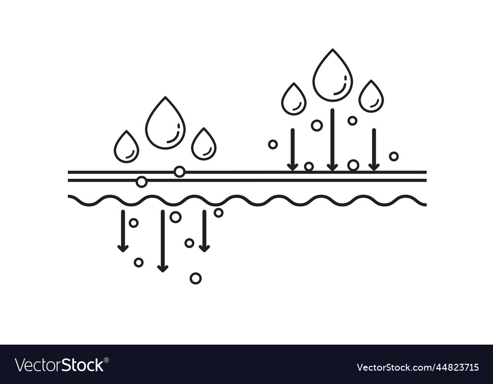Infographic the mechanism of nutrient absorption Vector Image Infographic the mechanism of nutrient absorption Vector Image
