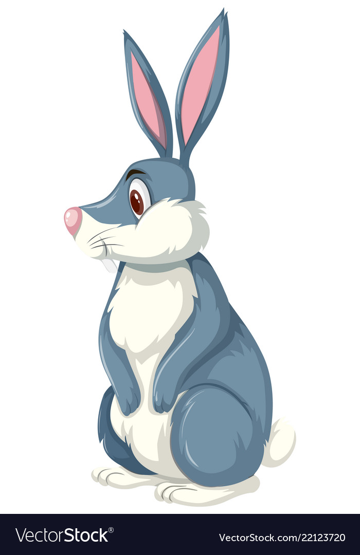 A rabbit on white background Royalty Free Vector Image
