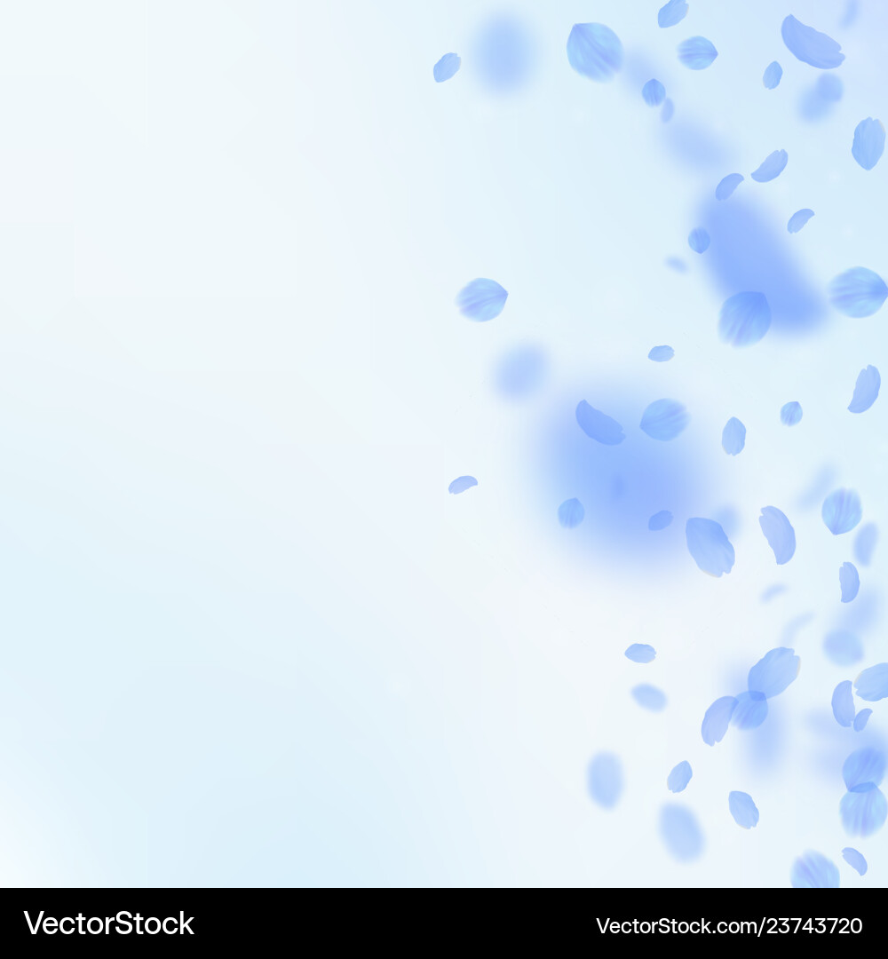 Dark blue flower petals falling down gorgeous rom Vector Image