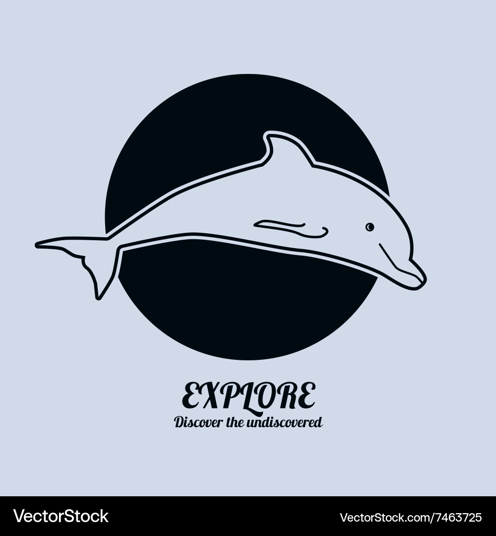 A dolphin Minimalist Royalty Free Vector Image