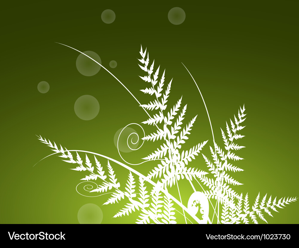 Beauty fern background Royalty Free Vector Image