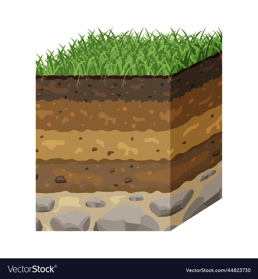 Soil in layers in section structure of the earth Vector Image