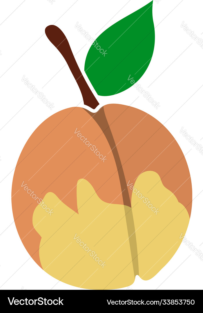 Icon peach in ui colors Royalty Free Vector Image