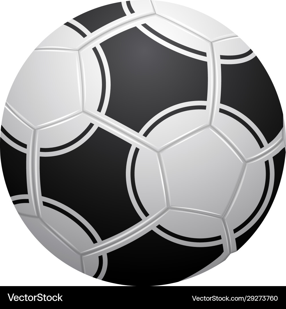 Isolated realistic soccer ball Royalty Free Vector Image