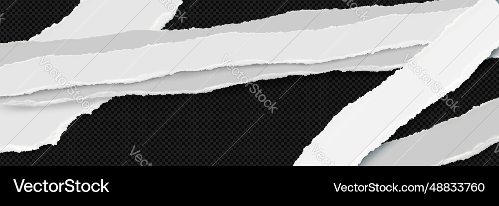 Torn paper strip edge rip white page piece Vector Image