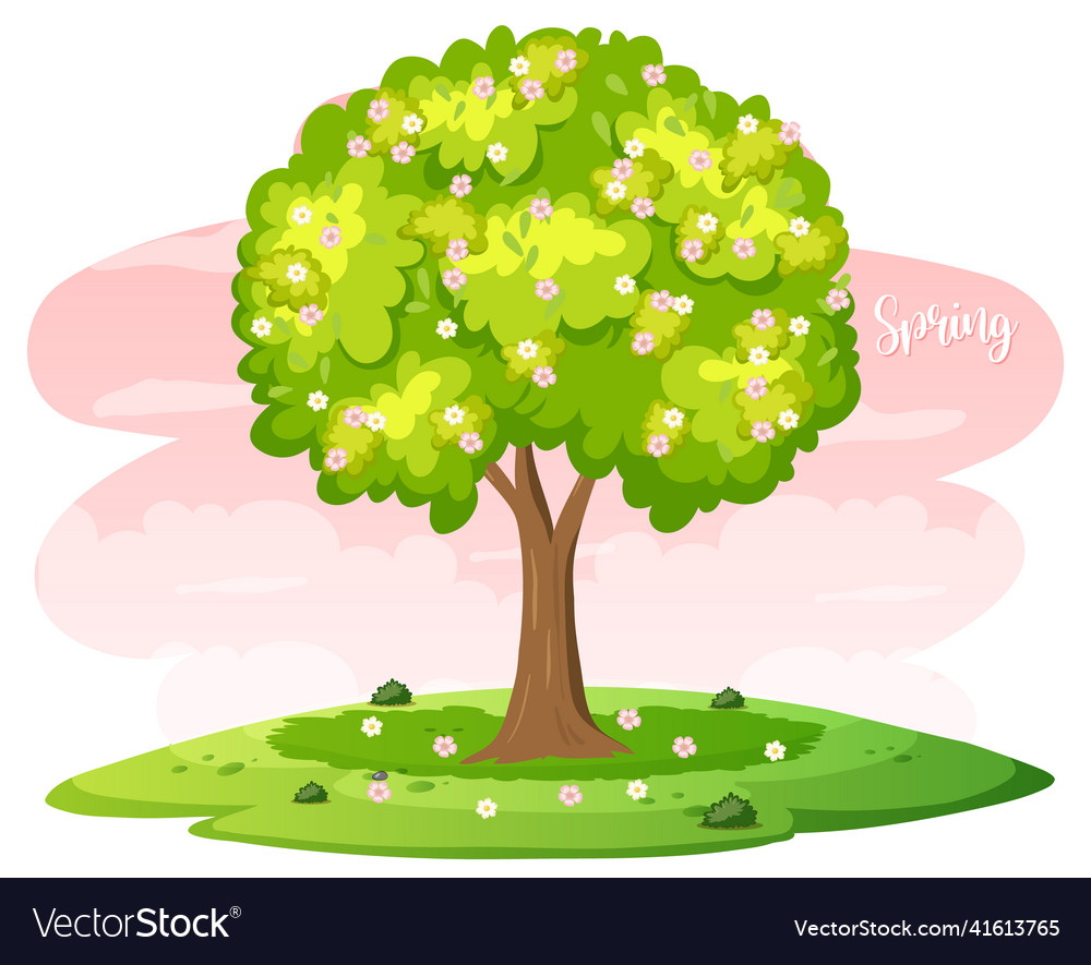 Isolated tree with flowers in spring season Vector Image