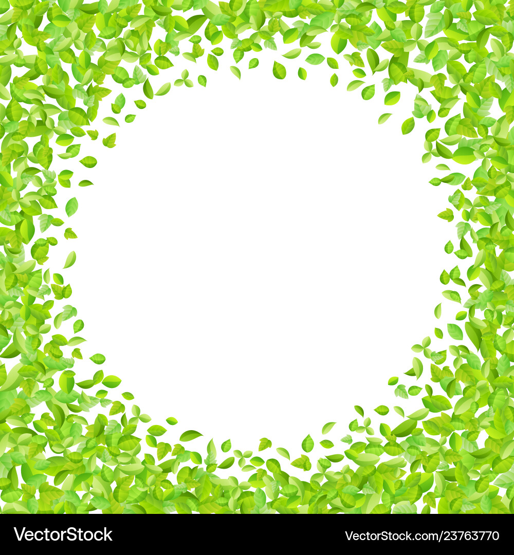 Fresh spring green leaves background for greeting Vector Image