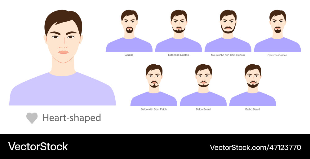 Set of beard style for heart shaped face shape Vector Image