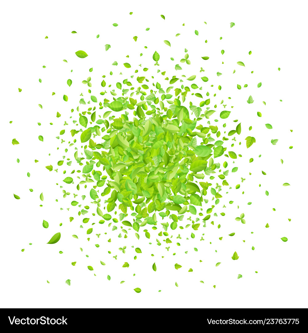 Fresh spring green leaves background for greeting Vector Image