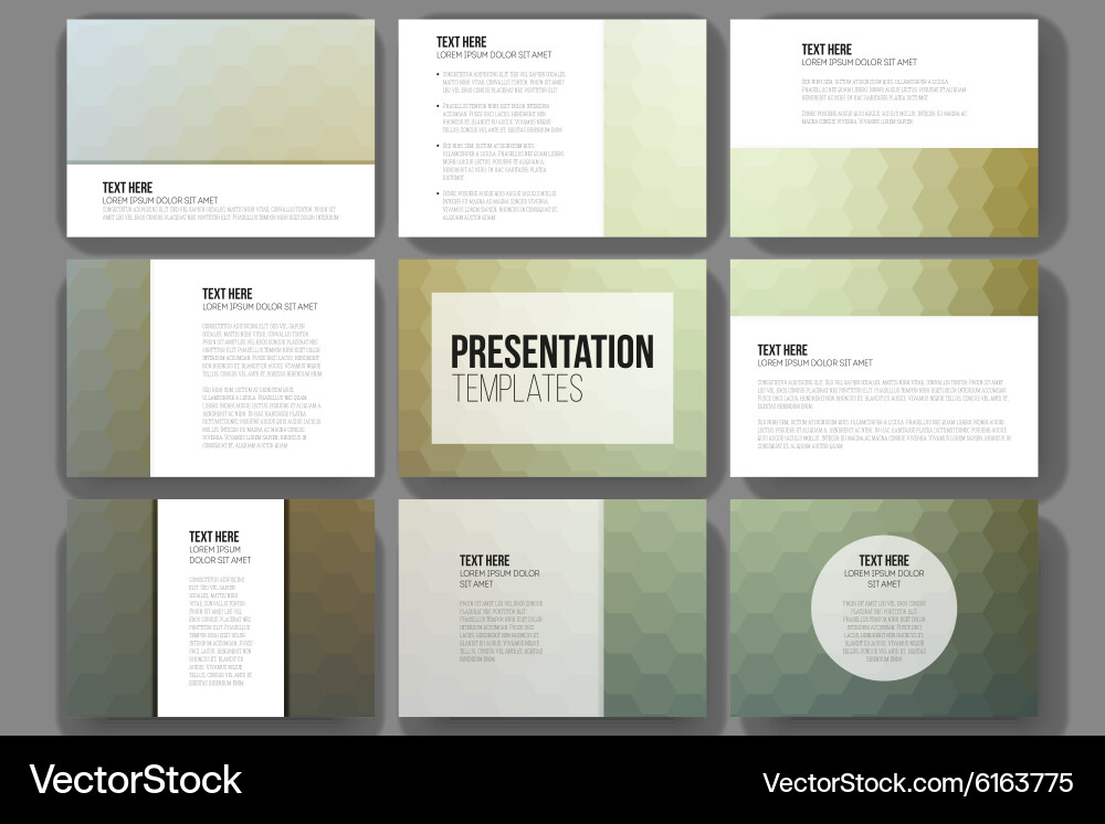 Set of 9 templates for presentation slides Vector Image