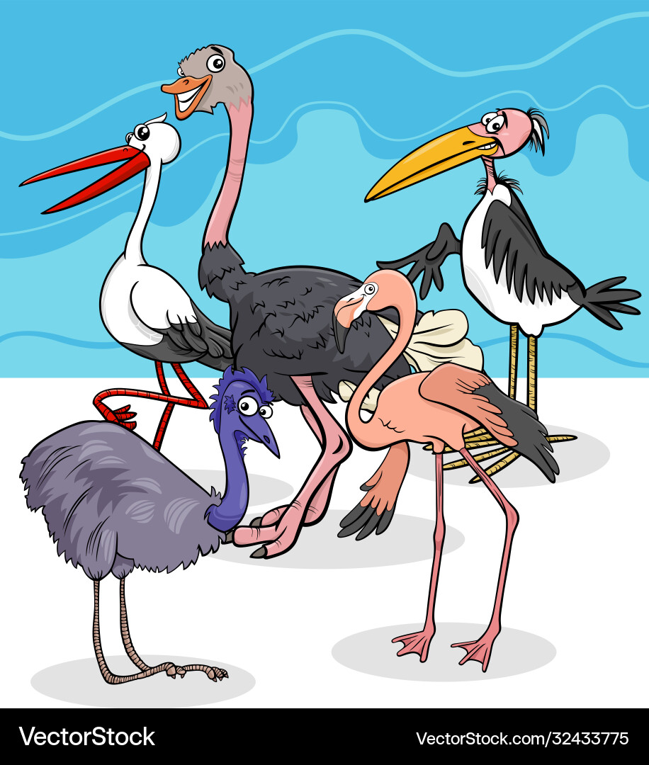 Wild bird species group cartoon Royalty Free Vector Image